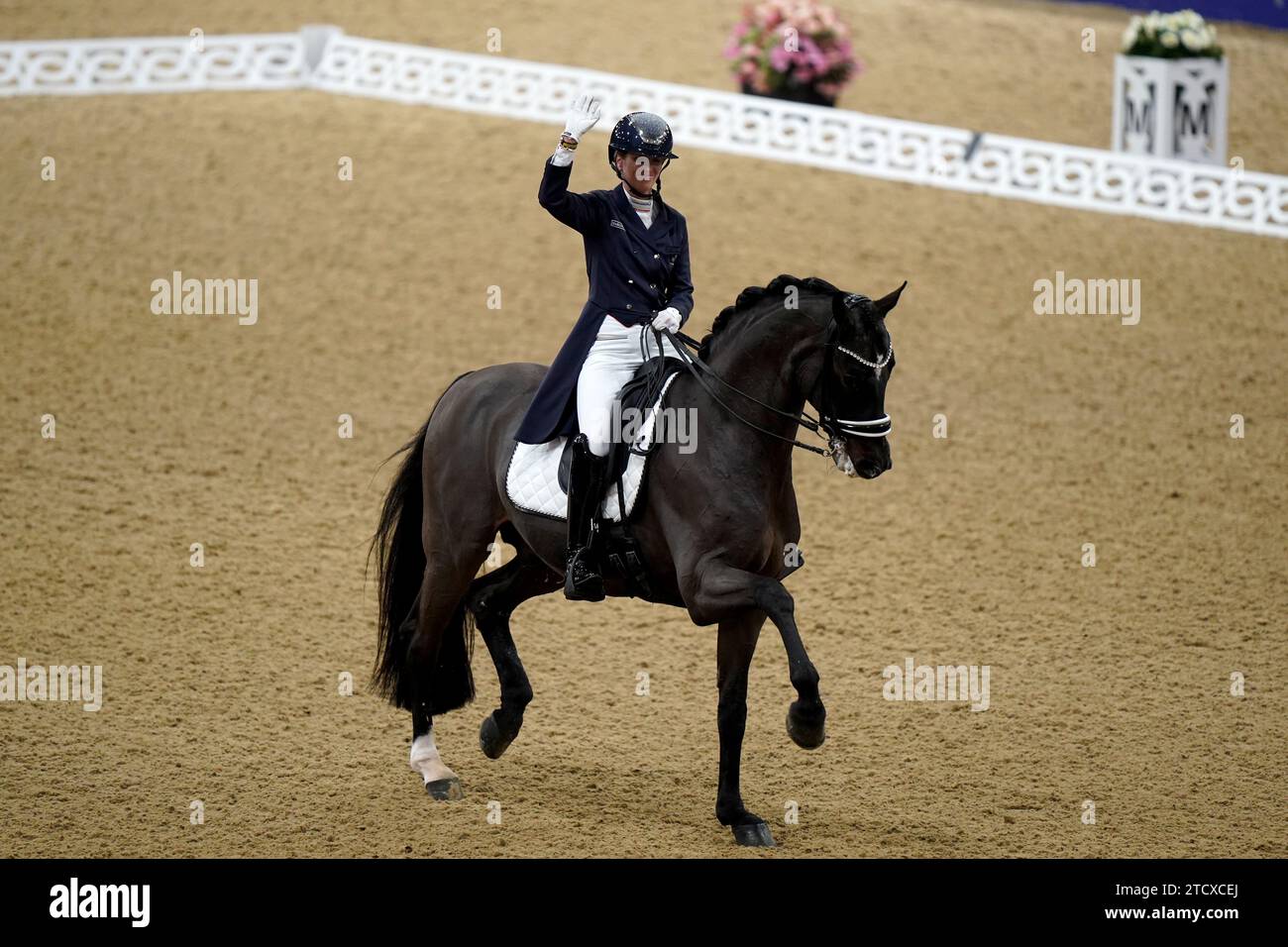 Sir Donnerhall II OLD ridden by France's Morgan Barbancon reacts ...