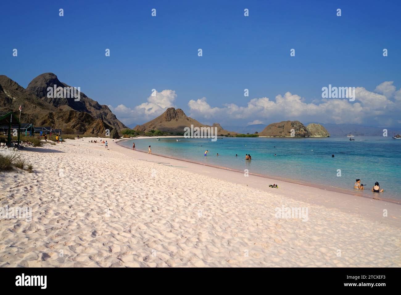 Komodo national park pink beach hi-res stock photography and images - Alamy