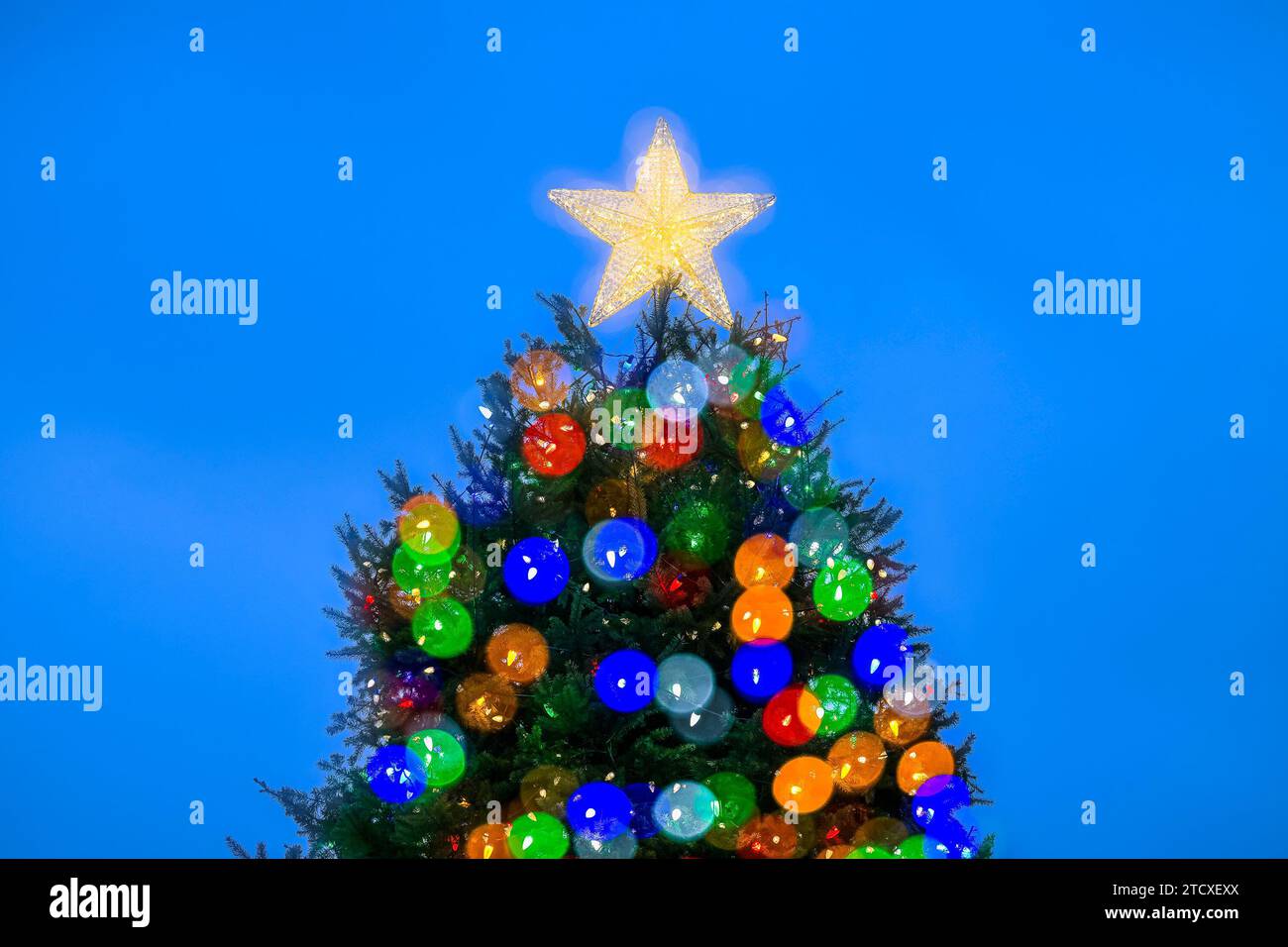 Christmas tree with bright star Stock Photo - Alamy