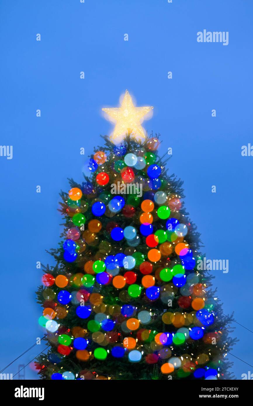 Star at the top of the tree hi-res stock photography and images - Alamy