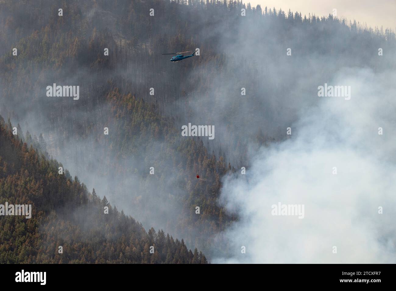 Helicopter near Sparwood, British Columbia, Canada carrying a bucket of ...