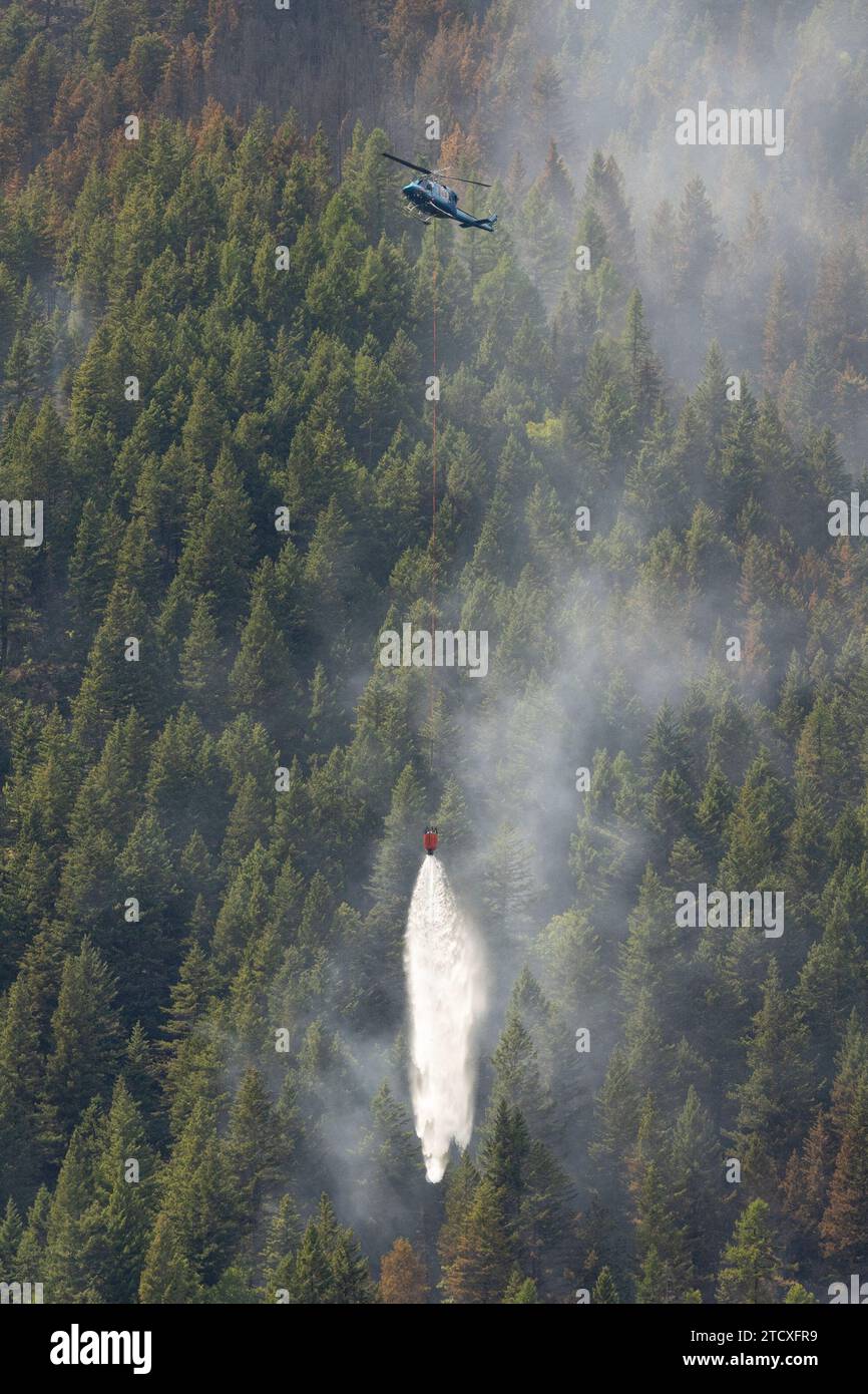 Helicopter near Sparwood, British Columbia, Canada dropping retardant ...
