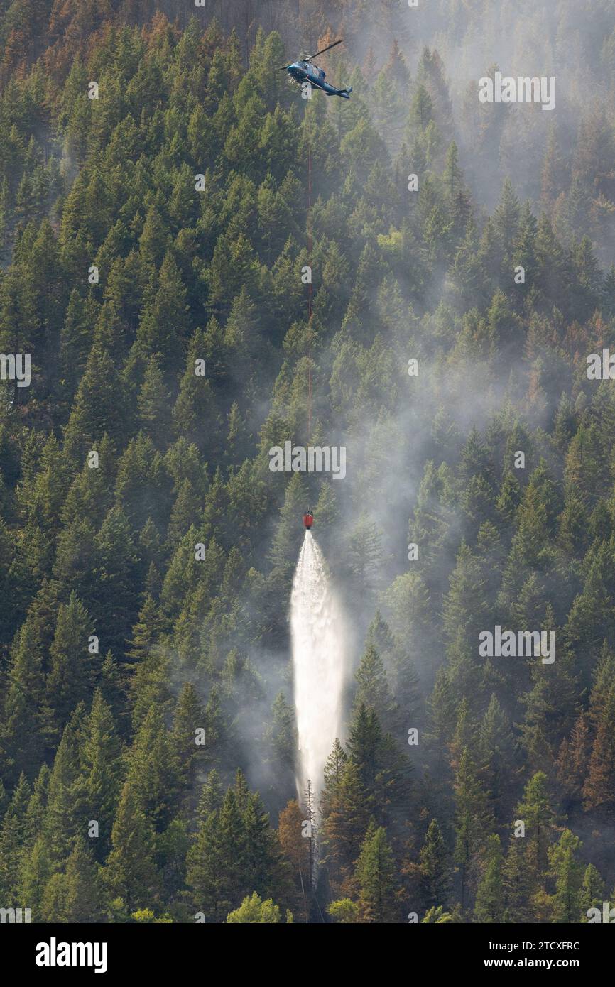 Helicopter near Sparwood, British Columbia, Canada dropping retardant ...