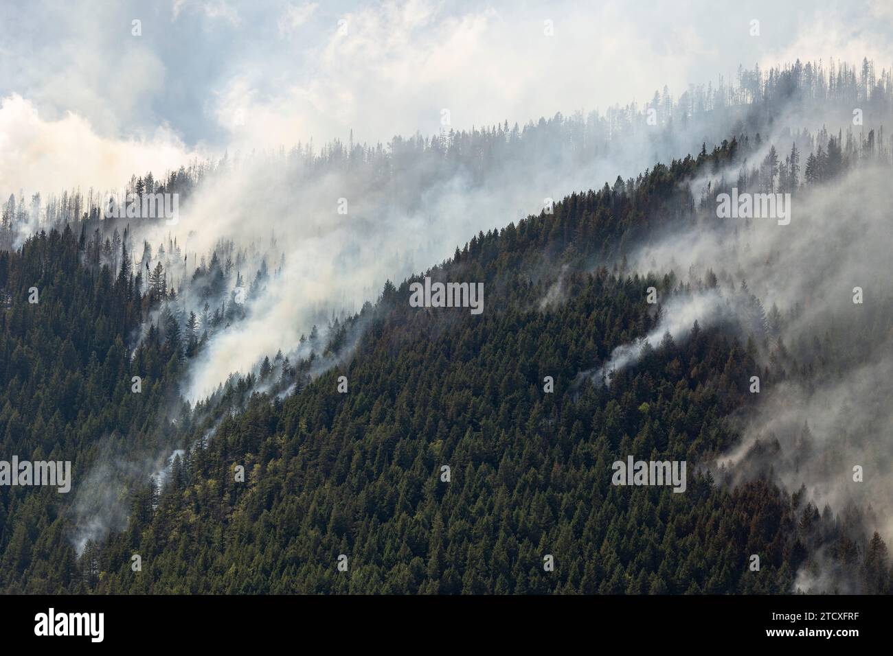 Forest fires on a mountainside near Sparwood, British Columbia, Canada ...