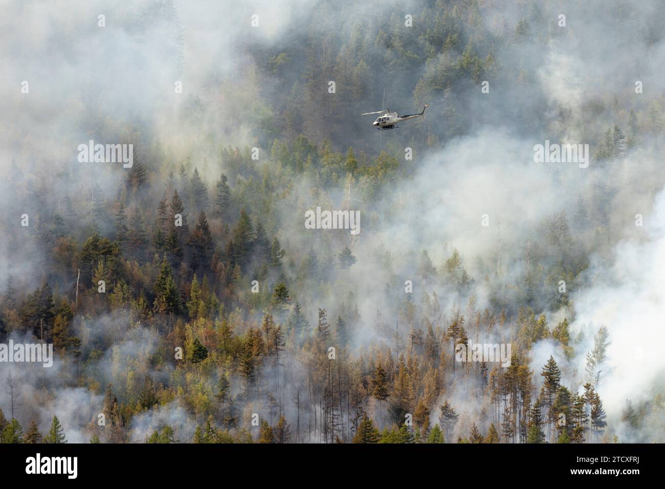 Rescue helicopter flying over a mountainside forest fire near Sparwood ...