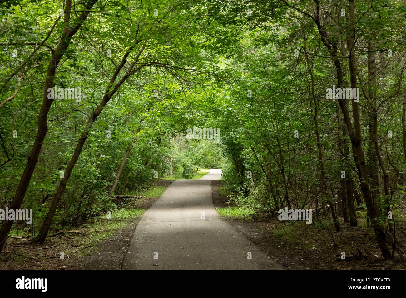 Kin kanyon hi-res stock photography and images - Alamy