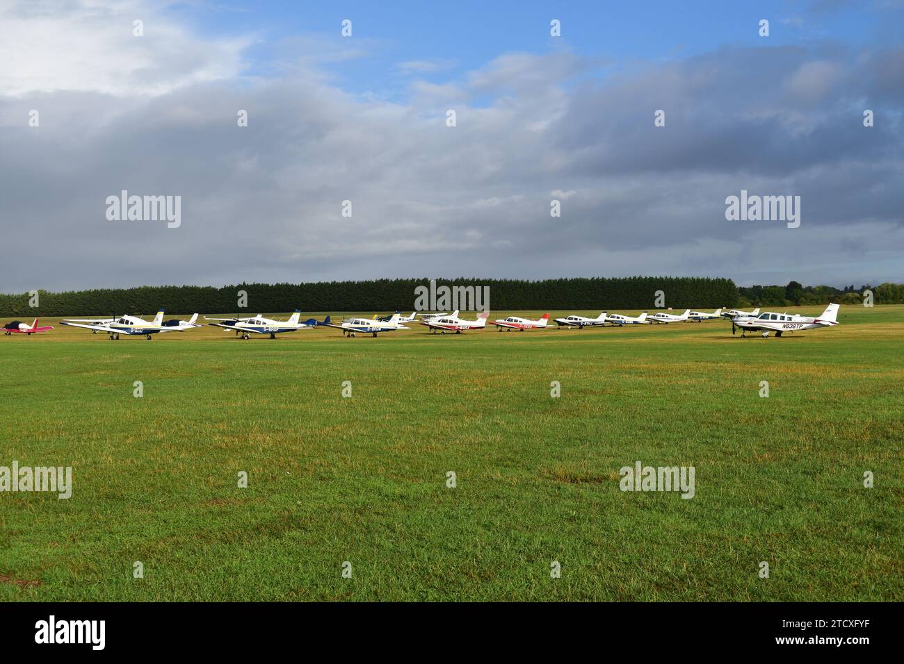 A long row of Piper Archer airplanes and a single Beechcraft Bonanza to ...