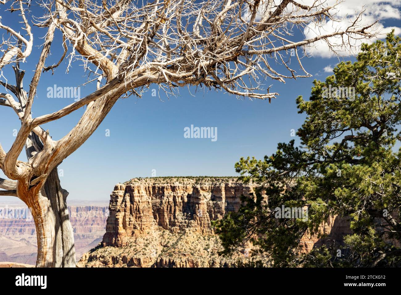 Viewpoint scenery hi-res stock photography and images - Alamy