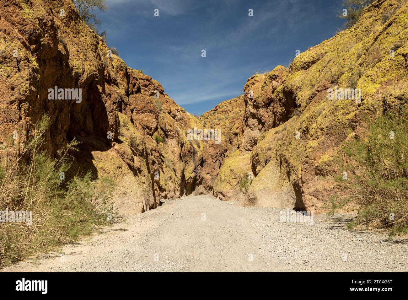 Trail passing through Box Canyon, AZ, USA Stock Photo - Alamy