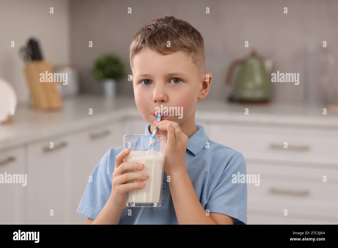 Cow drinking from straw hi-res stock photography and images - Alamy