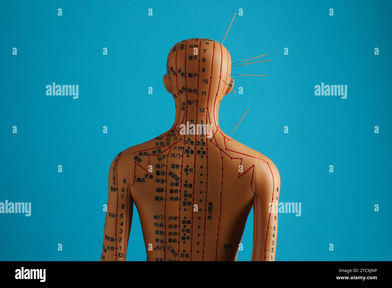 Acupuncture - alternative medicine. Human model with needles in head ...