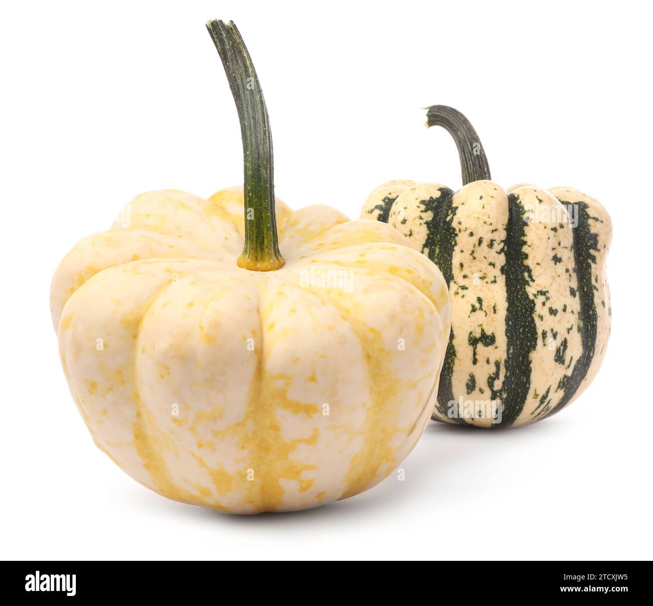Beautiful two yellow pumpkins hi-res stock photography and images - Alamy