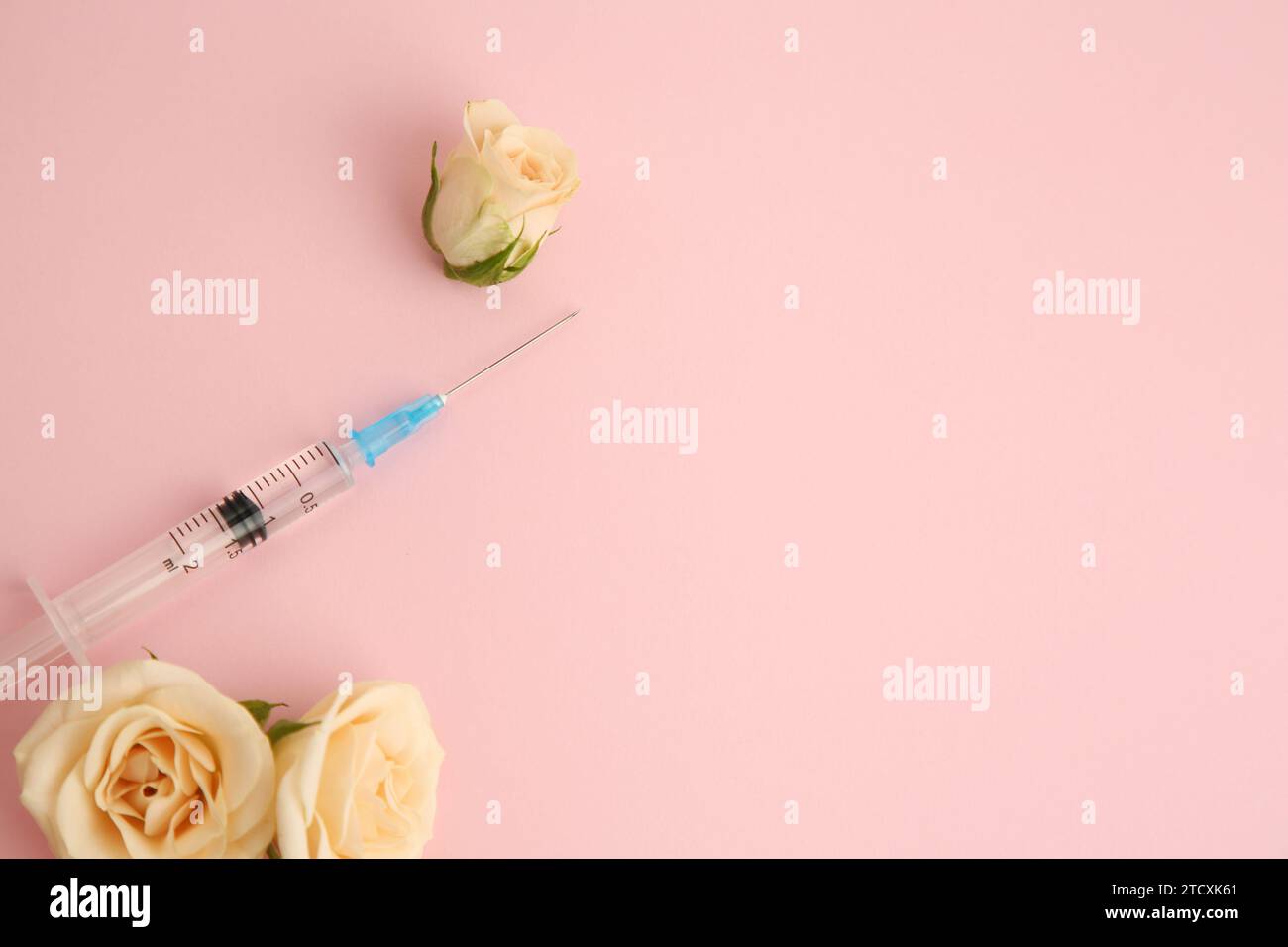 Medical syringe and rose flowers on pink background, flat lay. Space ...