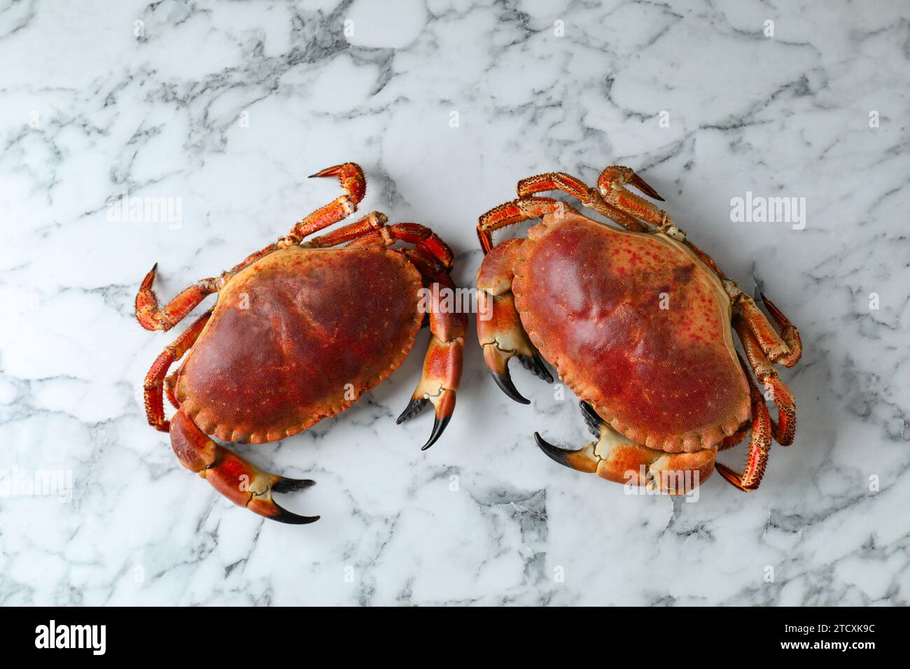 Delicious boiled crabs on white marble table, top view Stock Photo - Alamy