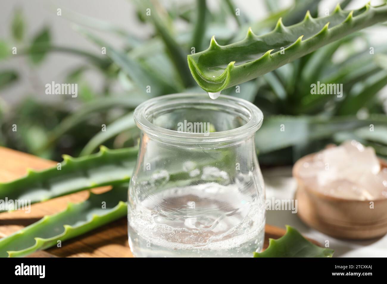 Dripping aloe vera gel from leaf into jar at table, closeup Stock Photo ...