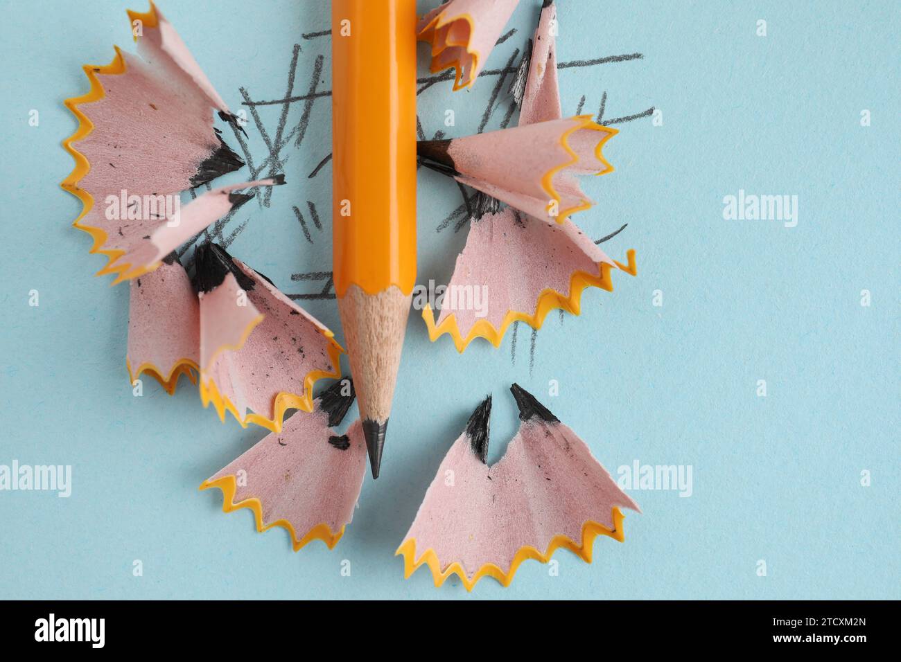 One sharp graphite pencil and shavings on light blue background, top ...