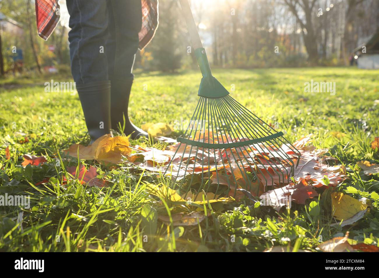 Woman raking pile dry leaves hi-res stock photography and images - Alamy