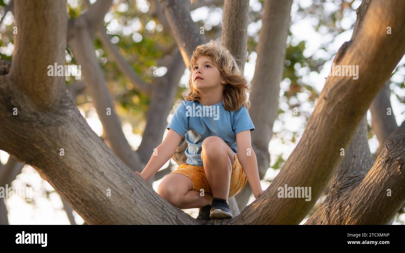 Kid climbing on a tree branch outdoor Stock Photo - Alamy