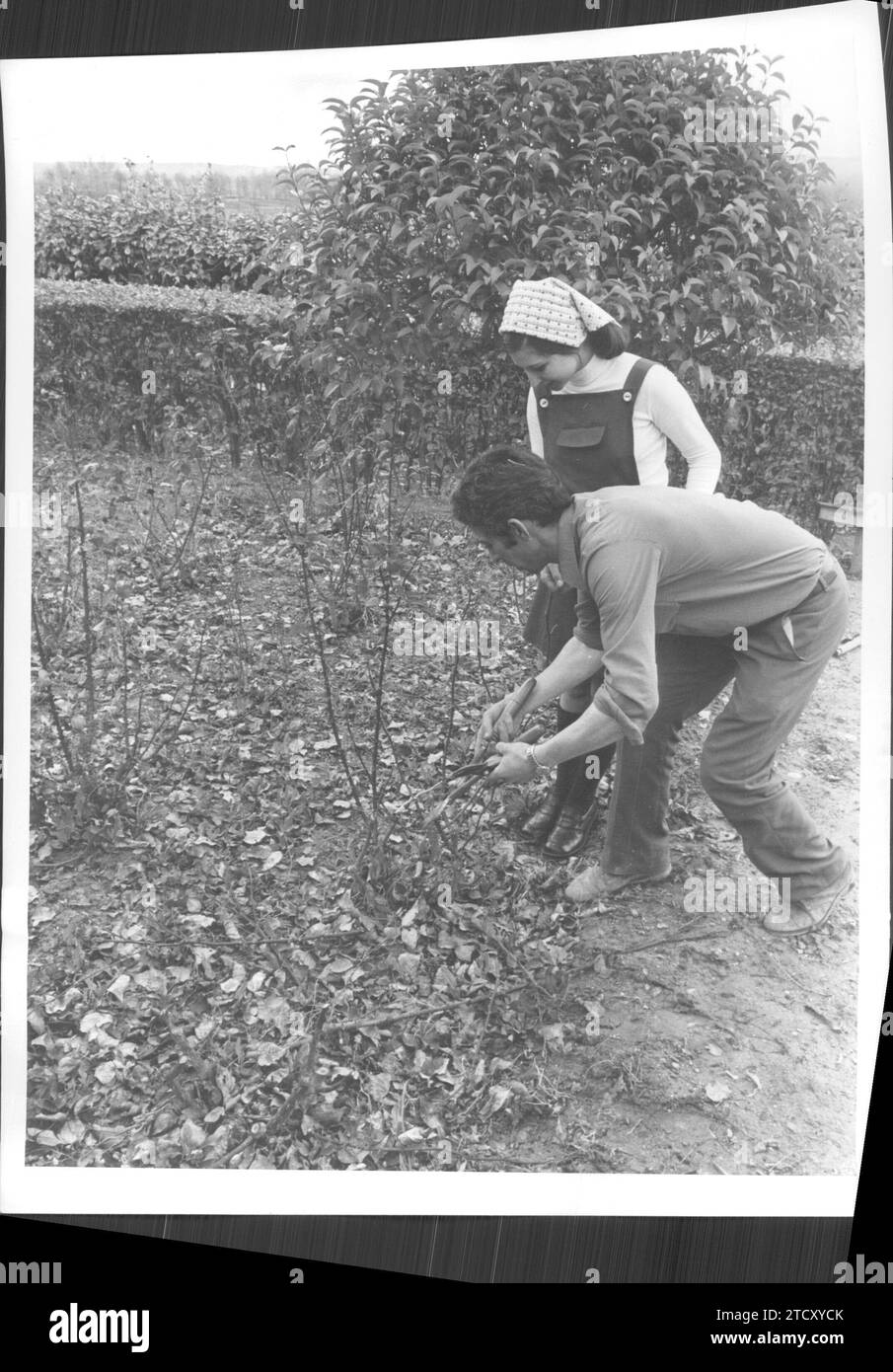 Gardening school class Black and White Stock Photos & Images - Alamy
