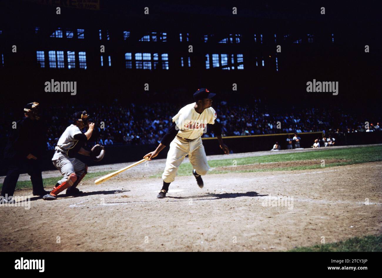 Peskin doby hi-res stock photography and images - Alamy