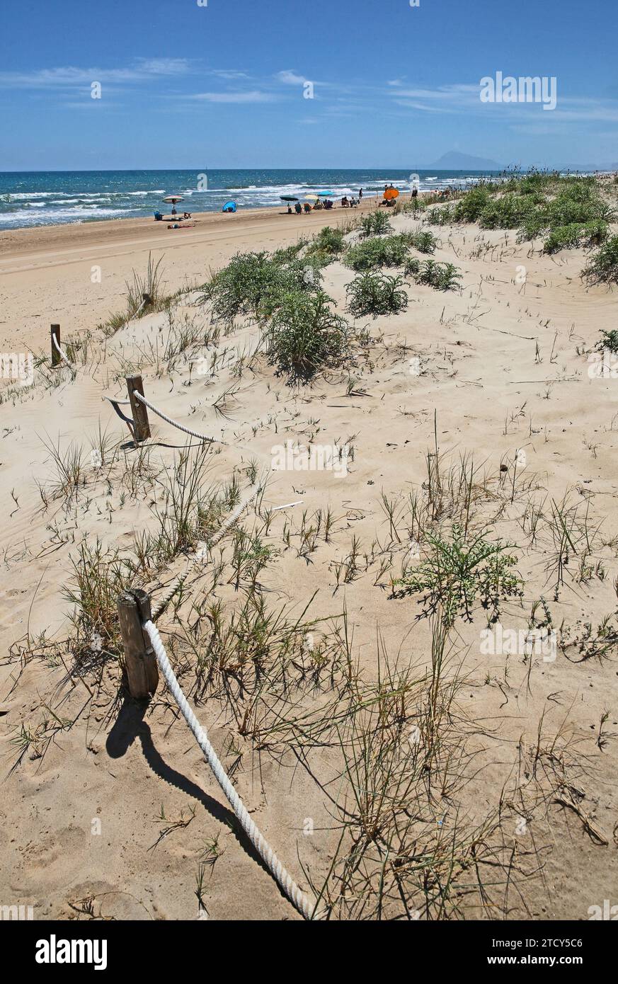 Daimus valencia hi-res stock photography and images - Alamy