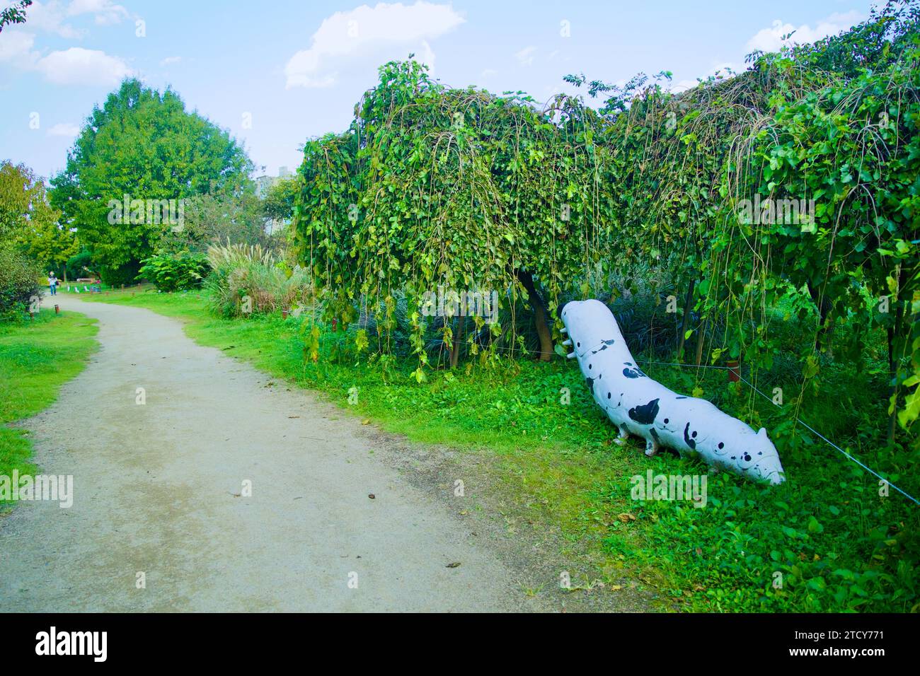 Seoul, South Korea - October 1, 2023: A serene snapshot of a dirt path ...