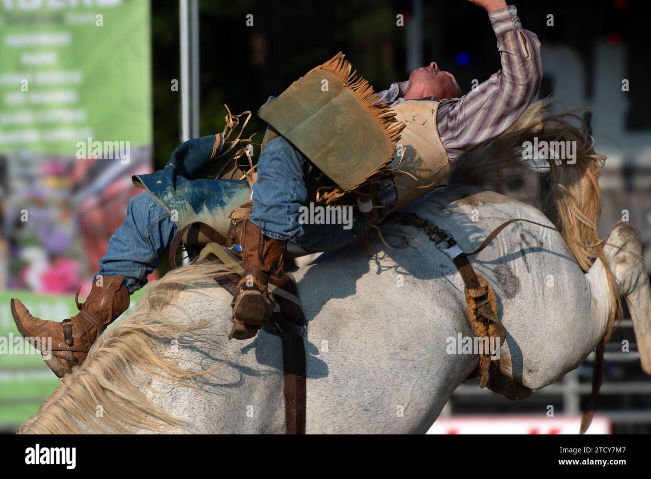 Bareback bronc riding hi-res stock photography and images - Alamy