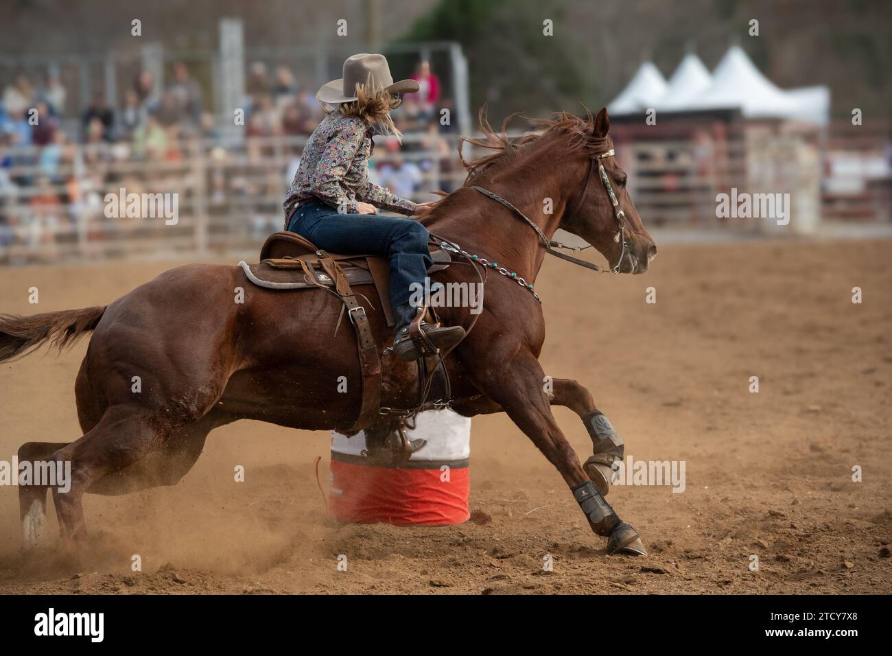 A barrel rider navigates the barrels on her horse during a rodeo event ...