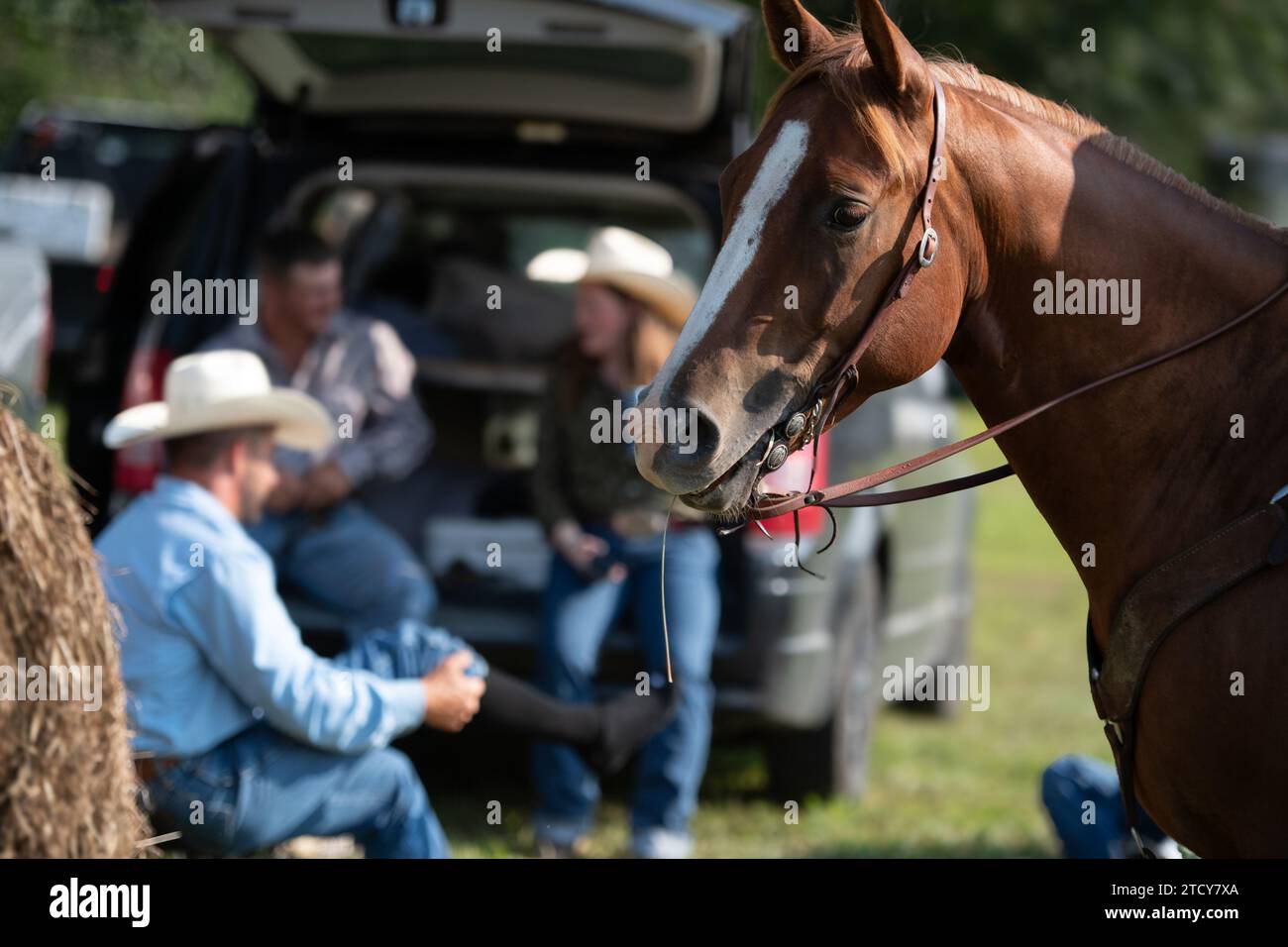 Cowboys cowgirls hi-res stock photography and images - Alamy