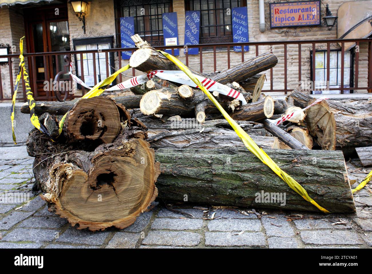 Toledo, 01/20/2016. Tree felling in the Amador de los Ríos square ...
