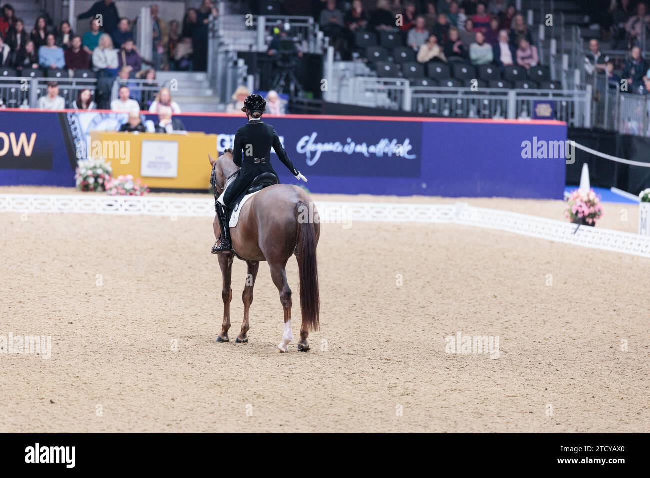 Devenda Dijkstra of Netherlands with Hero during the FEI Dressage World ...