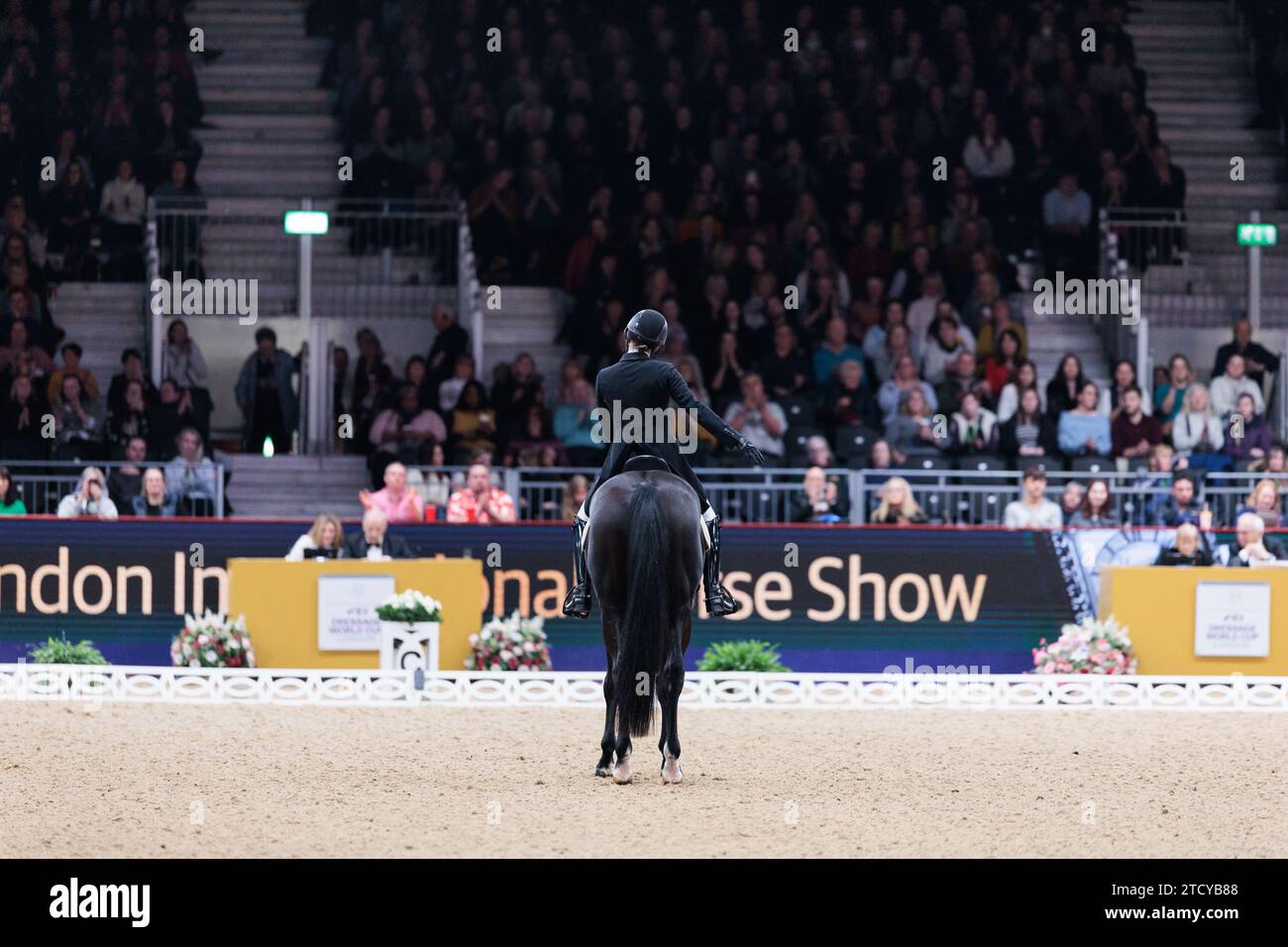 David winne hi-res stock photography and images - Alamy