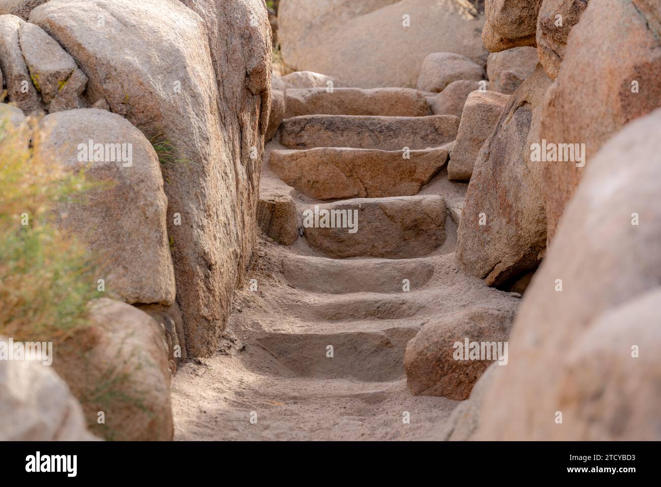 Built in rock stairs, step, along a trail, path in Joshua Tree National ...