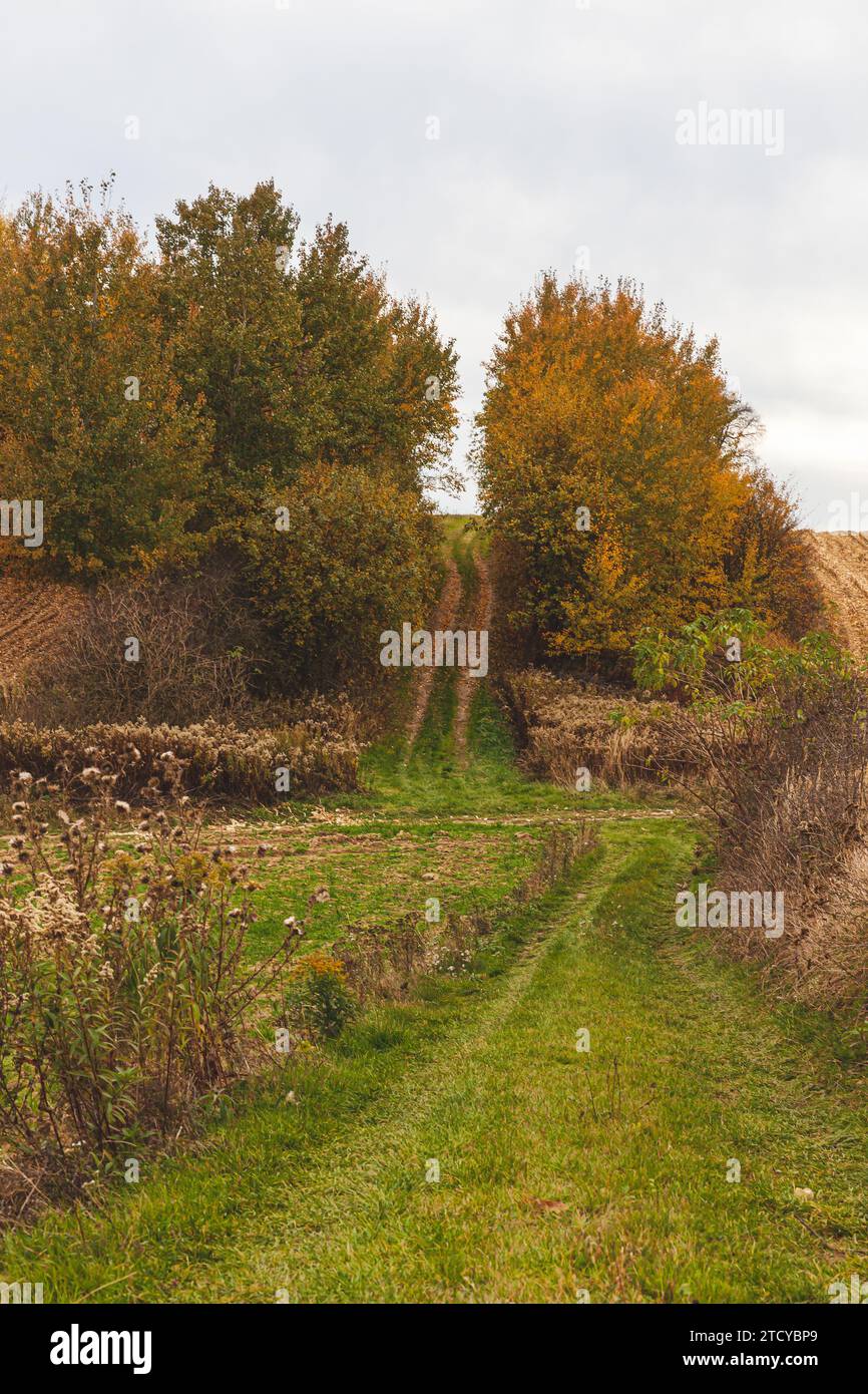 Landscape in the countryside. Sunny day in July Stock Photo - Alamy