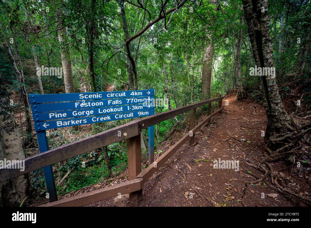 Walking track through the forest in Bunya Mountains National Park ...