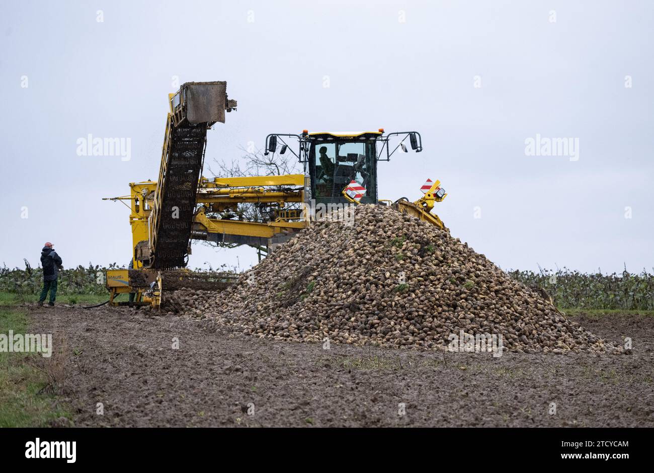 Beet loader hi-res stock photography and images - Alamy