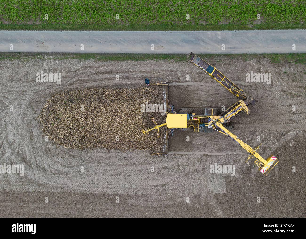 Beet loader hi-res stock photography and images - Alamy