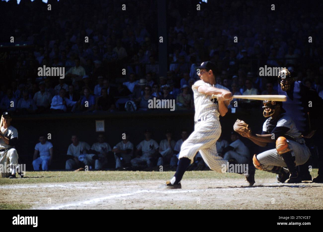 ST. PETERSBURG, FL - MARCH, 1956: Billy Martin #1 of the New York ...