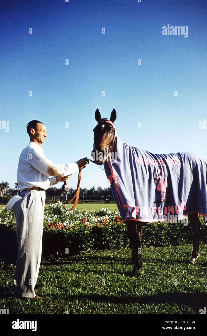 Bold ruler stakes hi-res stock photography and images - Alamy