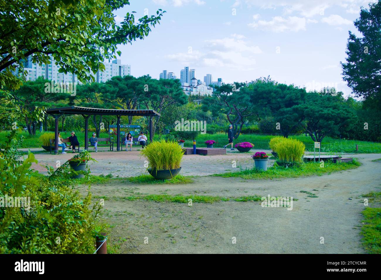 Seoul, South Korea - October 1, 2023: A picturesque view of the Jamwon ...