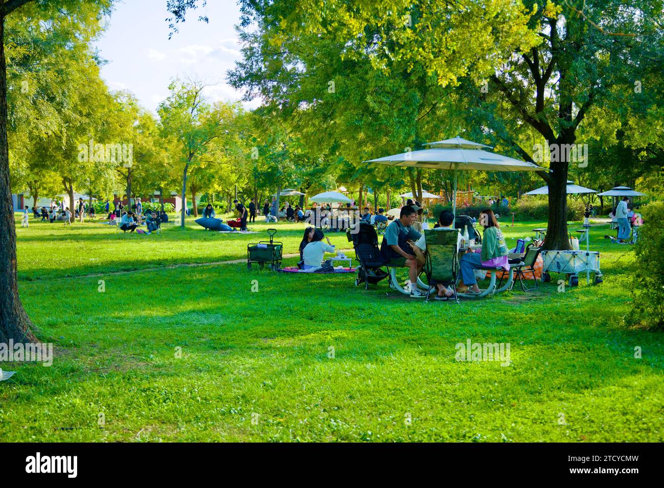 Seoul, South Korea - October 1, 2023: Families and groups enjoy a sunny ...