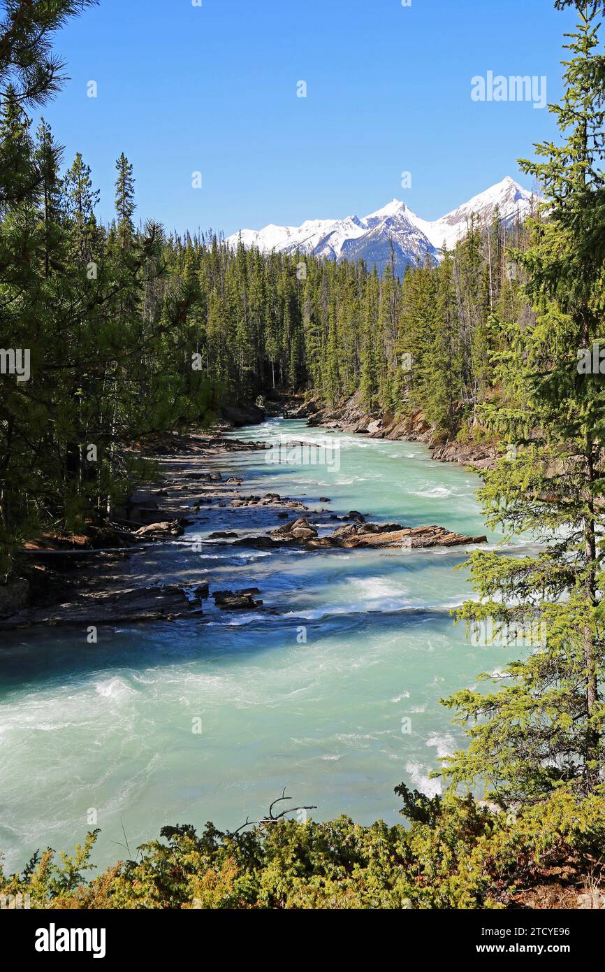 River waterfall yoho national park british columbia canada hi-res stock ...