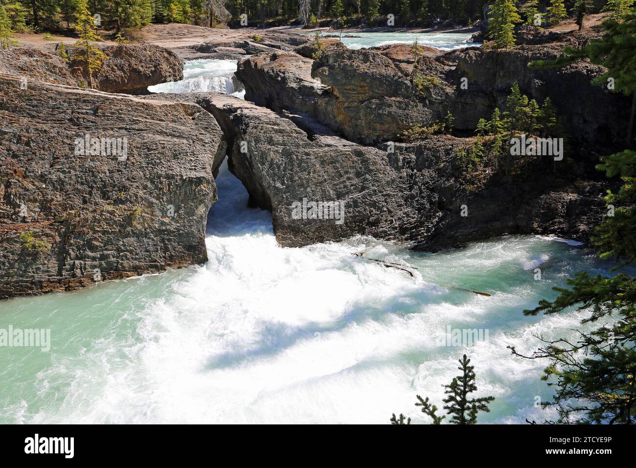 Natural bridge - Kicking Horse River - Yoho NP, Canada Stock Photo - Alamy