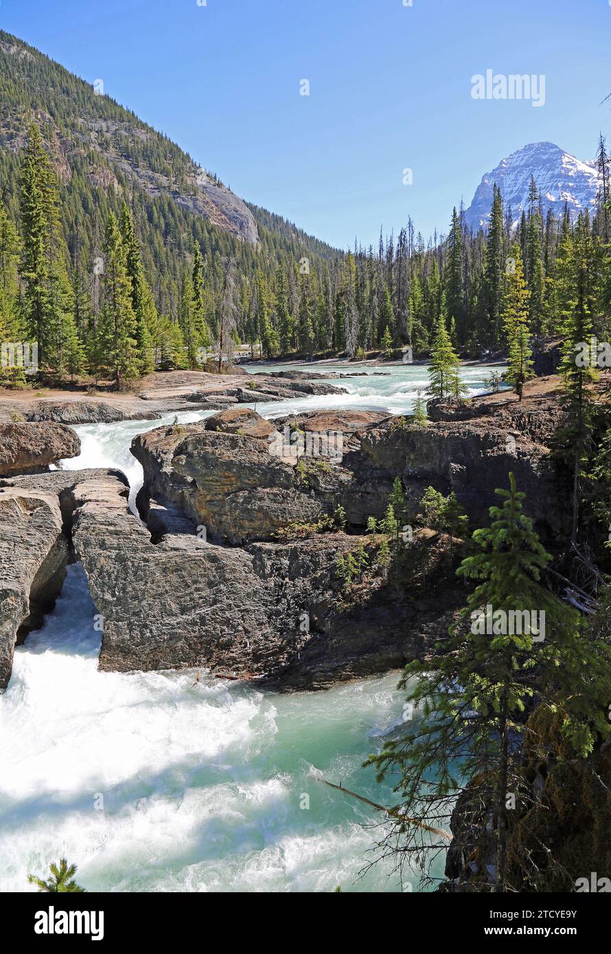 Natural bridge vertical - Kicking Horse River - Yoho NP, Canada Stock ...