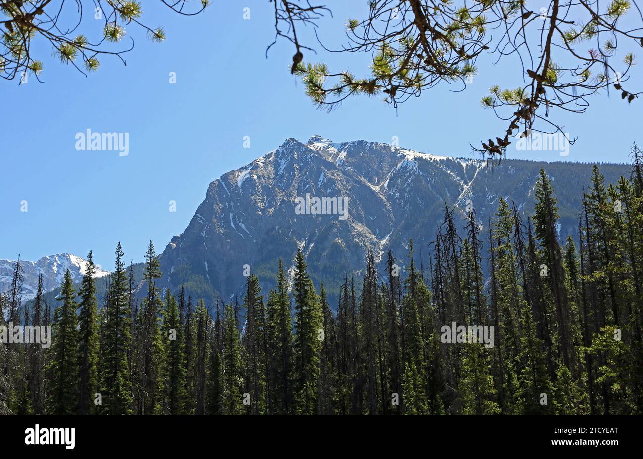 Canada mountain landscape hi-res stock photography and images - Alamy