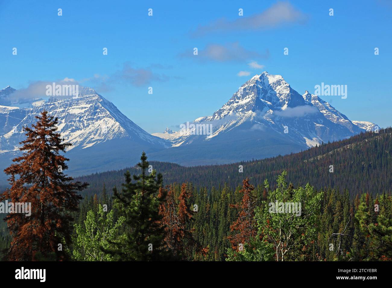 Athabasca pass jasper national park hi-res stock photography and images ...