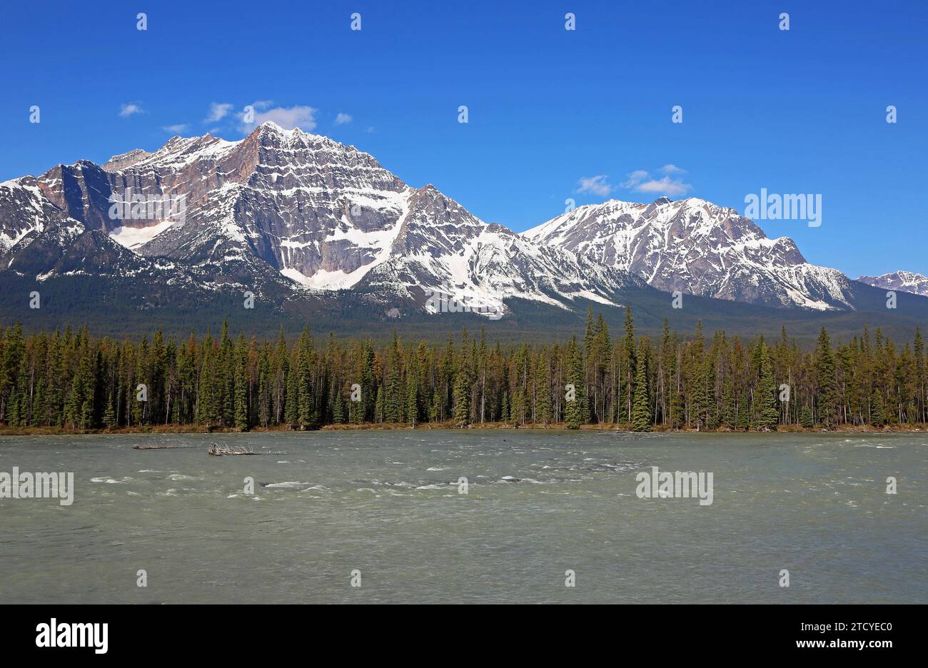 Athabasca river jasper hi-res stock photography and images - Alamy
