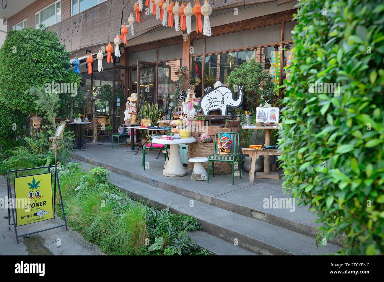 Weed Shop Ratchamanka Road Old City Chiang Mai Thailand Stock Photo - Alamy