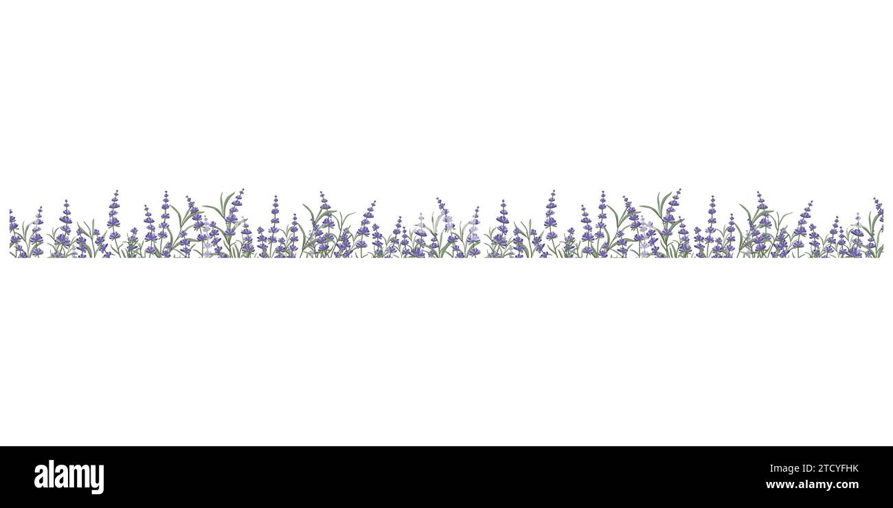 Seamless border made of lavender flowers. Design for ribbon, for ...