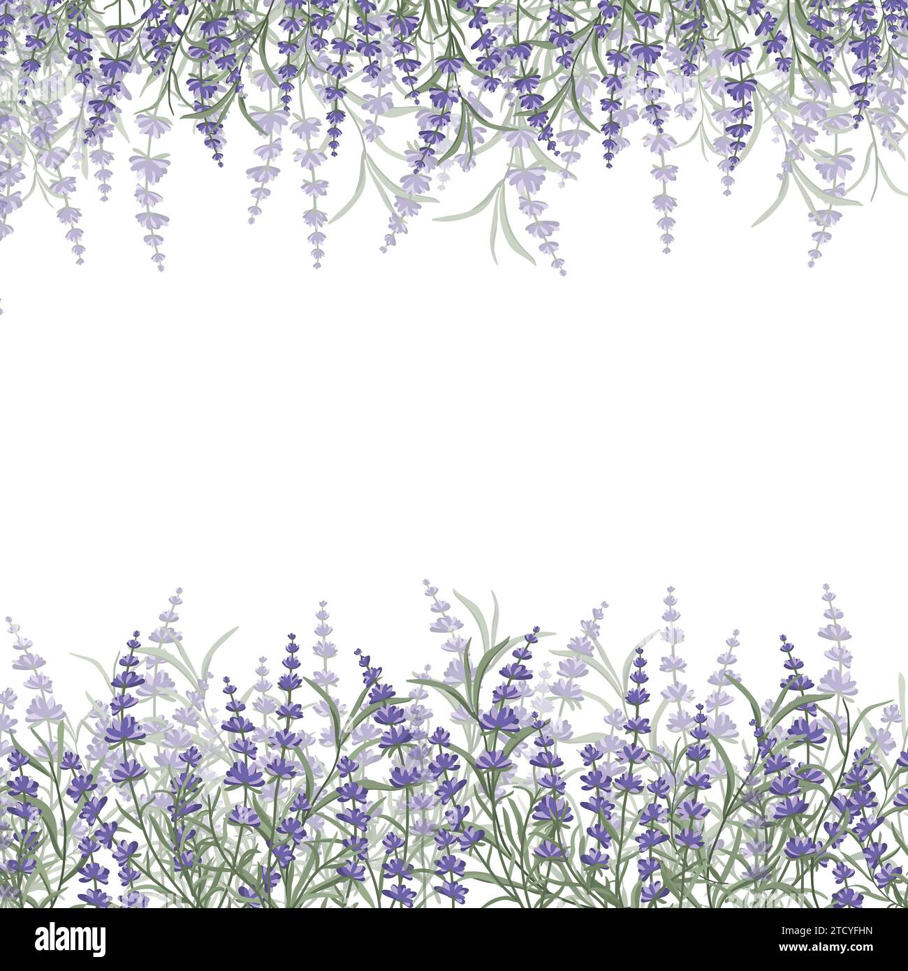 A beautiful purple-lavender border, for the design of postcards ...